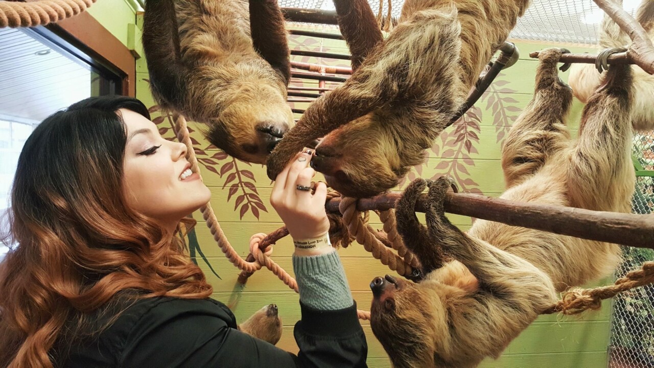 Branson's VIP Gold - Promised Land Zoo